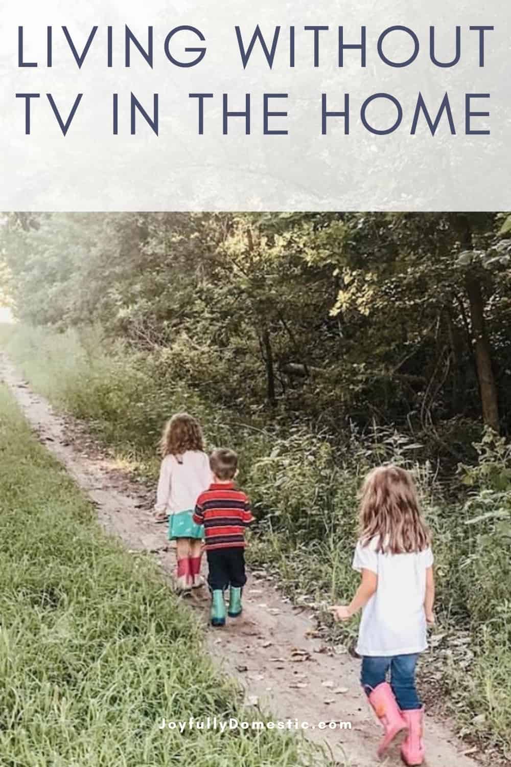 Living Without TV - Joyfully Domestic