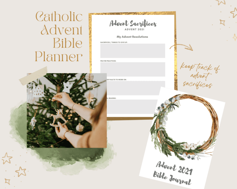 Advent Devotionals for Catholic Families - Joyfully Domestic