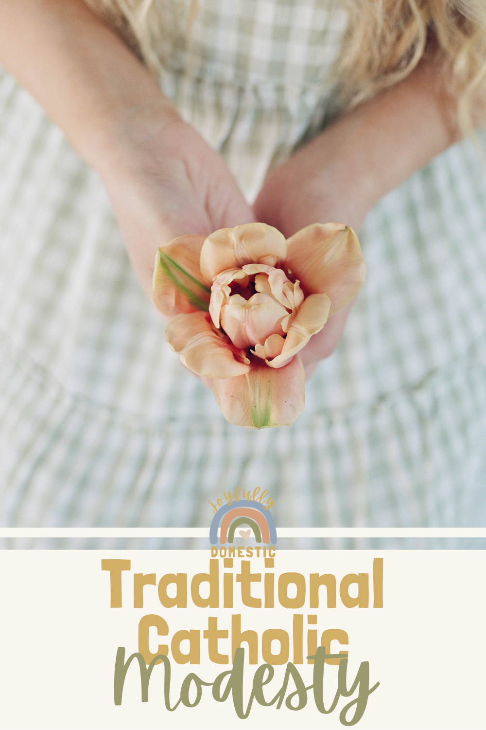 Mary-like Modesty in Dress - Joyfully Domestic