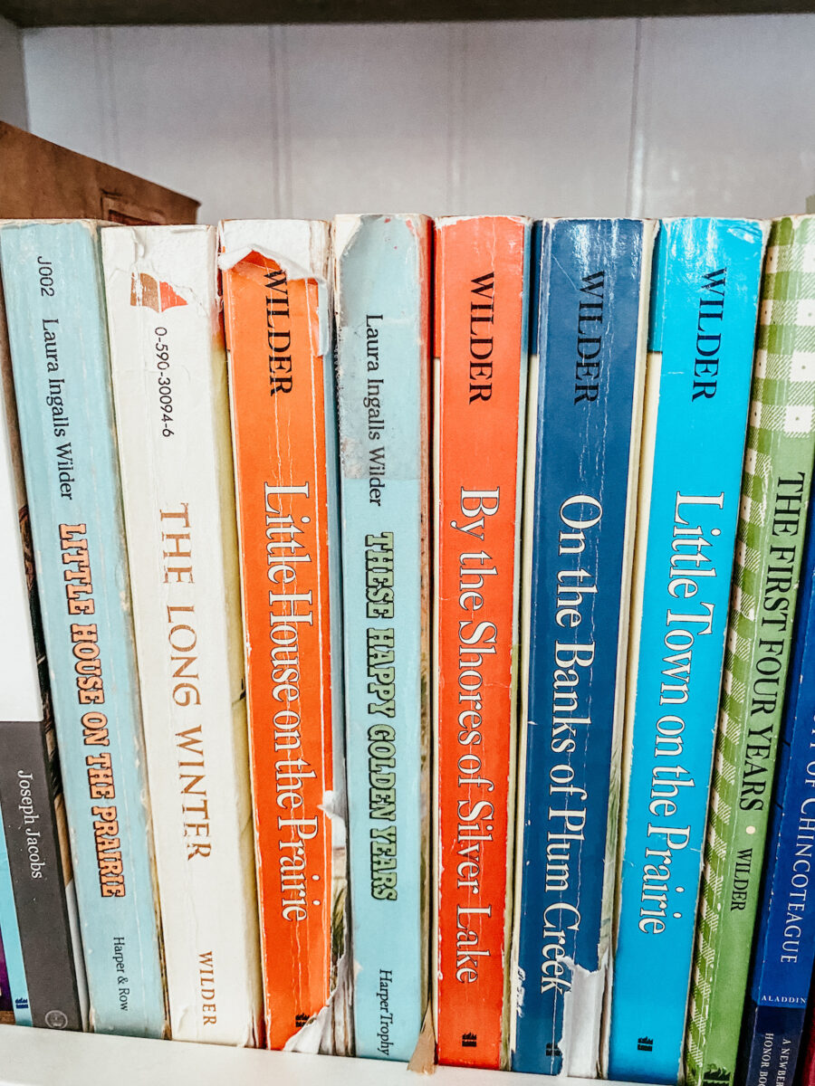 The Impact of Classical & Catholic Literature on My Spiritual Life ...